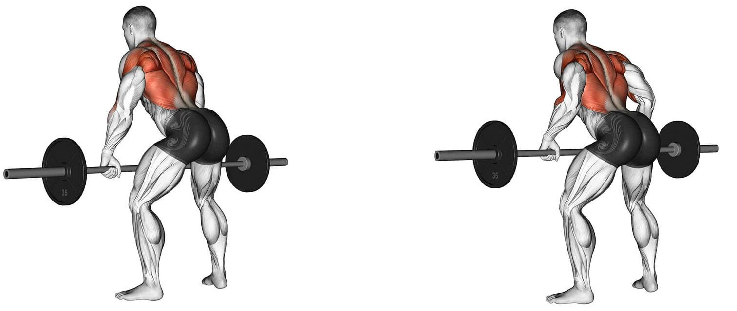 Nejlepší cviky na posílení zádových svalů - Alfit.cz